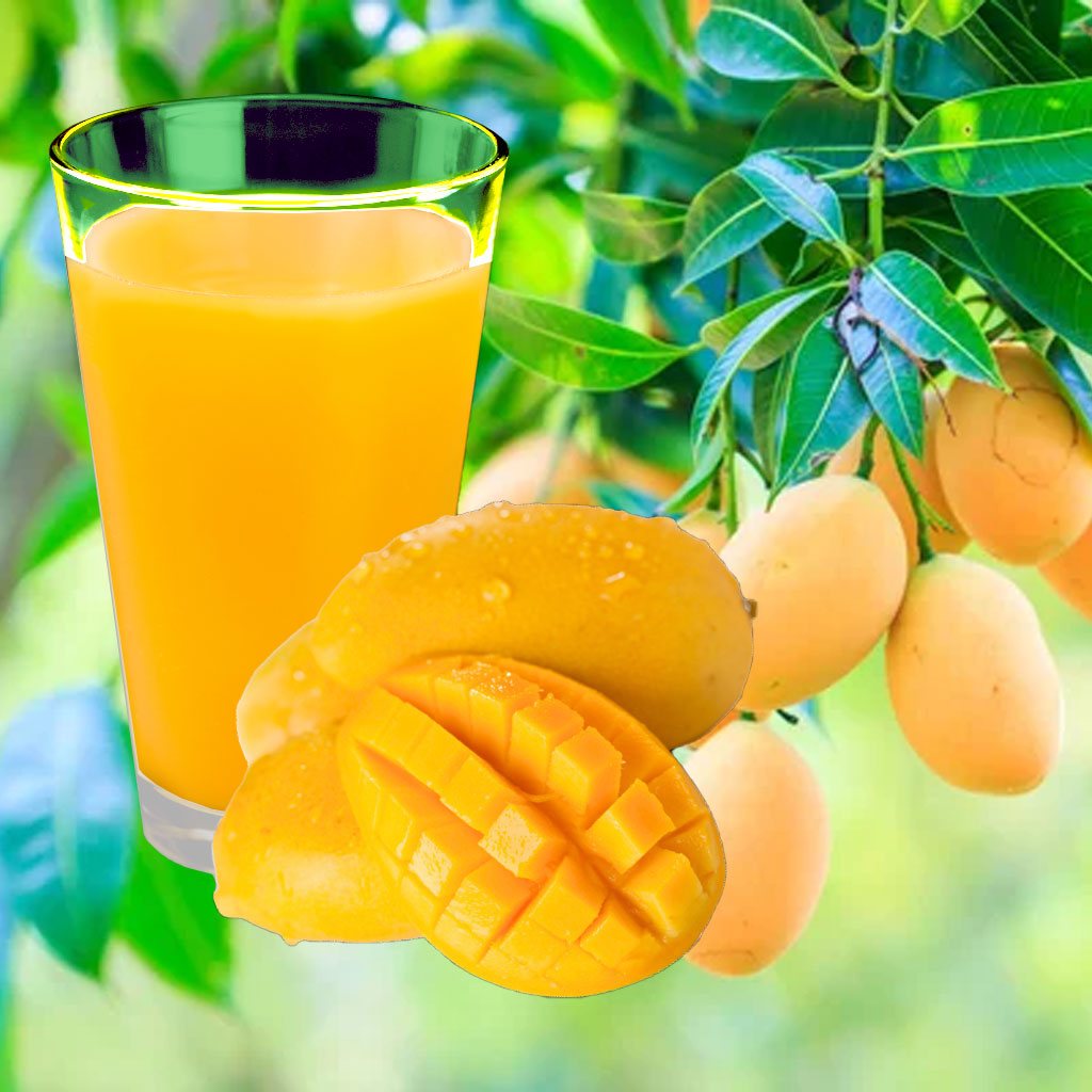 Phong Vân | Nước ép xoài Juicy V Fresh Mango Juice 250ml